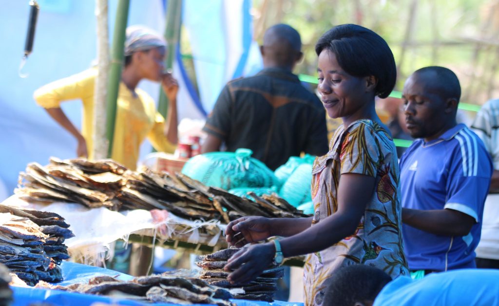 Democratic Republic of the Congo - Acted