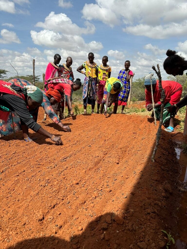 Kenya - Acted
