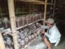 Myanmar - Acted