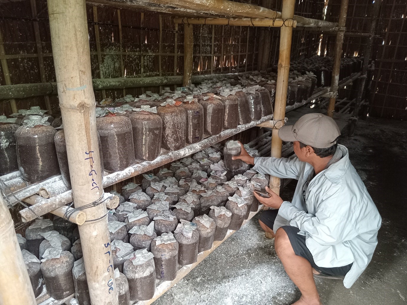 Myanmar - Acted