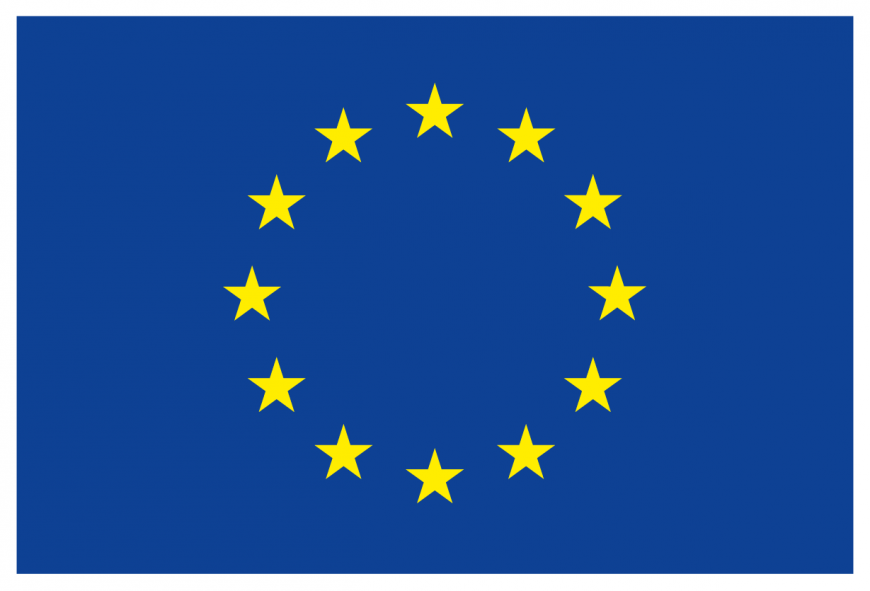 Europeaid - Directorate-General for International Cooperation and ...