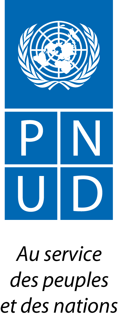Programme des Nations Unies pour le Développement (PNUD) - Acted