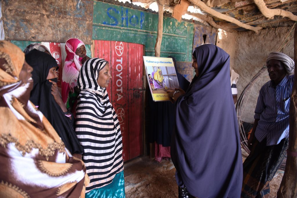 ACTED Humanitarian response in Sanaag and Baidoa in Somalia - Acted