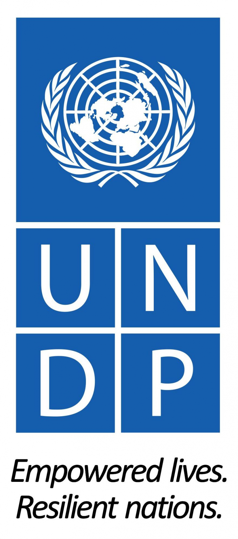 United Nations Development Programme (UNDP) - Acted