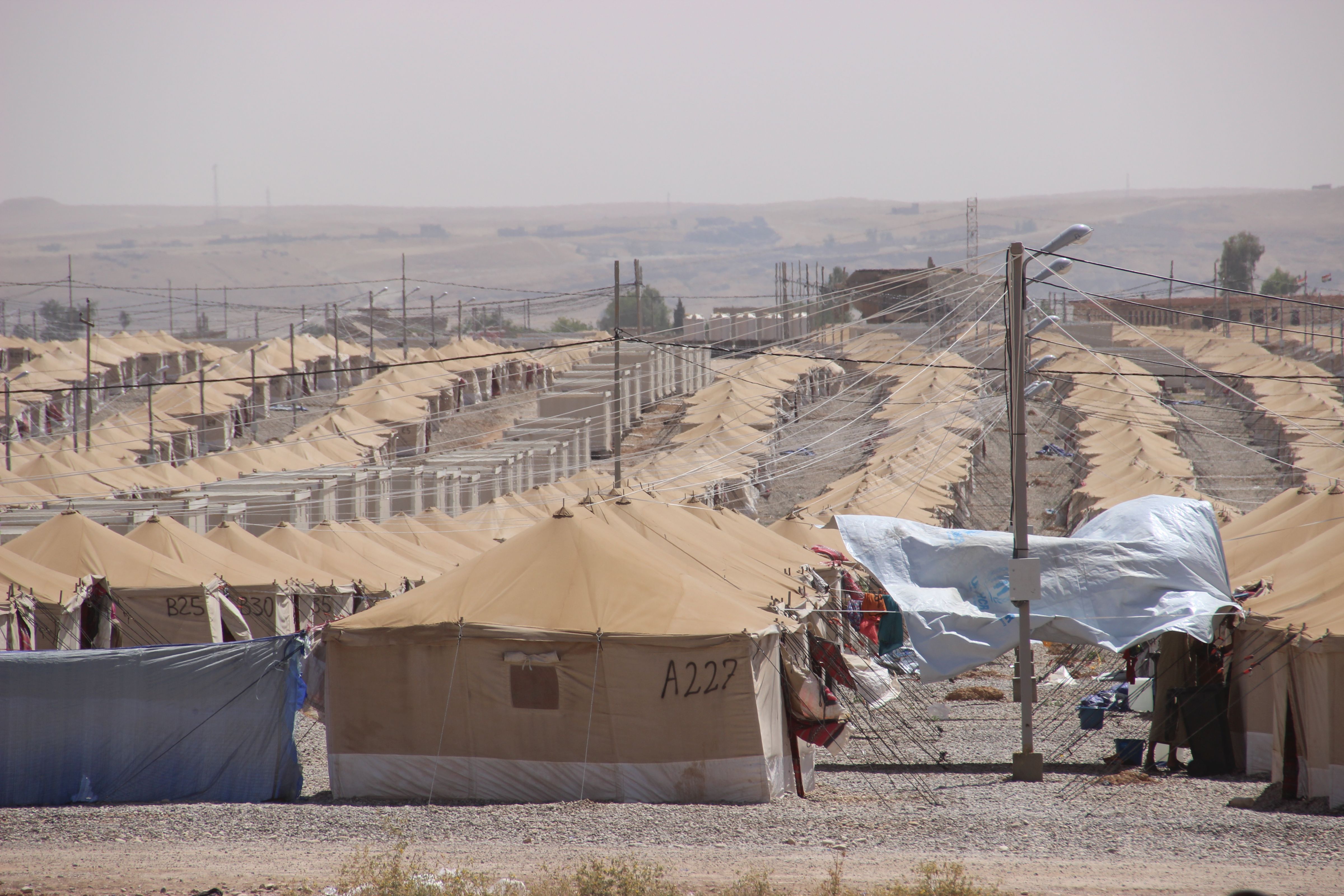 ACTED’s operations and management of Salamiyah Camp in Iraq have ...