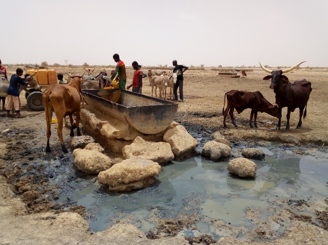 Emergency intervention to protect access to water in Niger - Acted