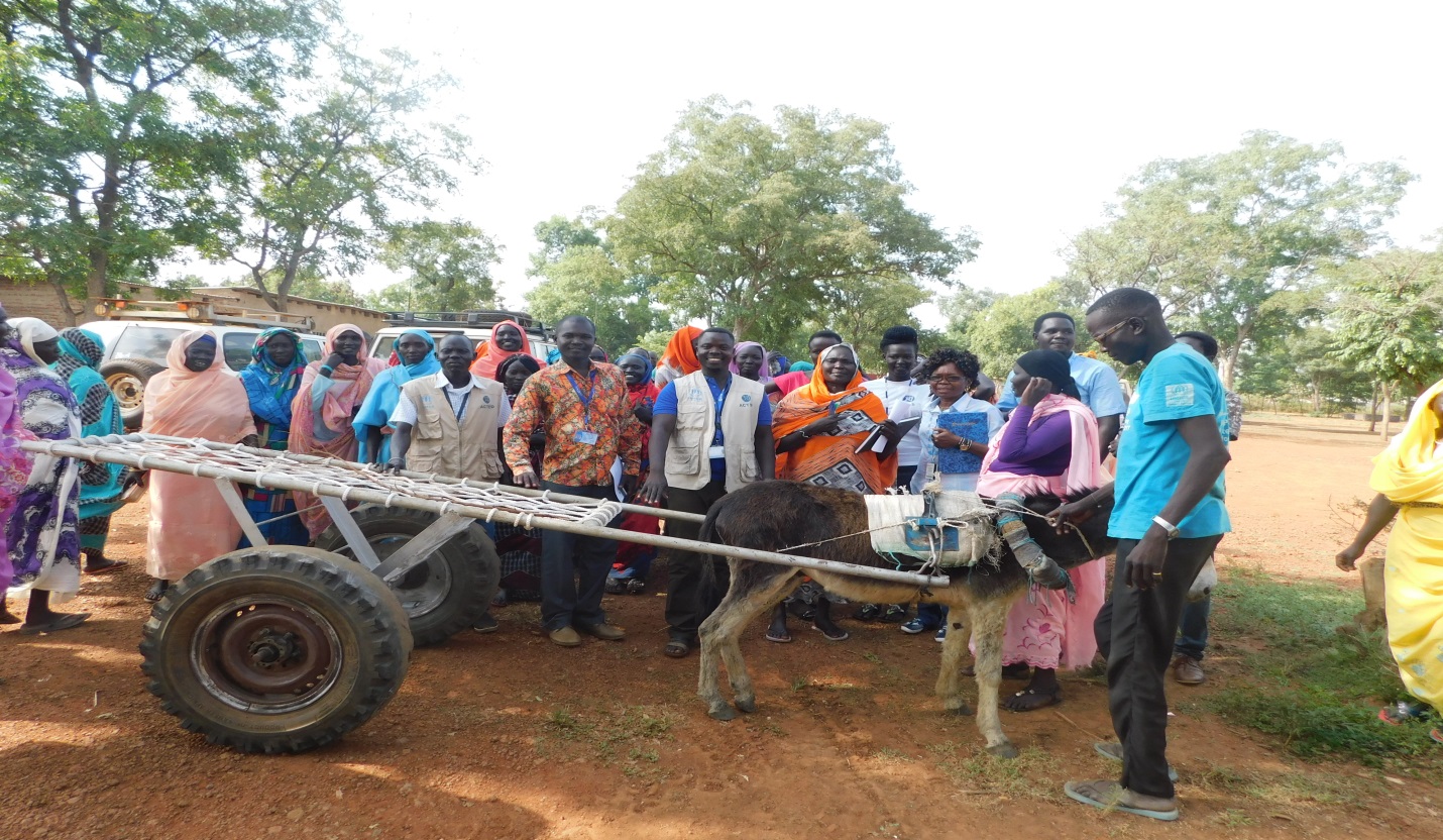 A donkey ambulance boosts women healthcare in refugee camps - Acted