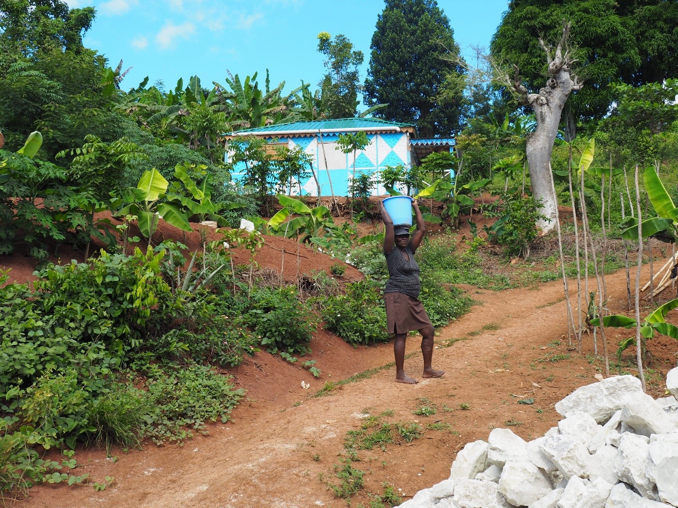 Haiti New Road Construction