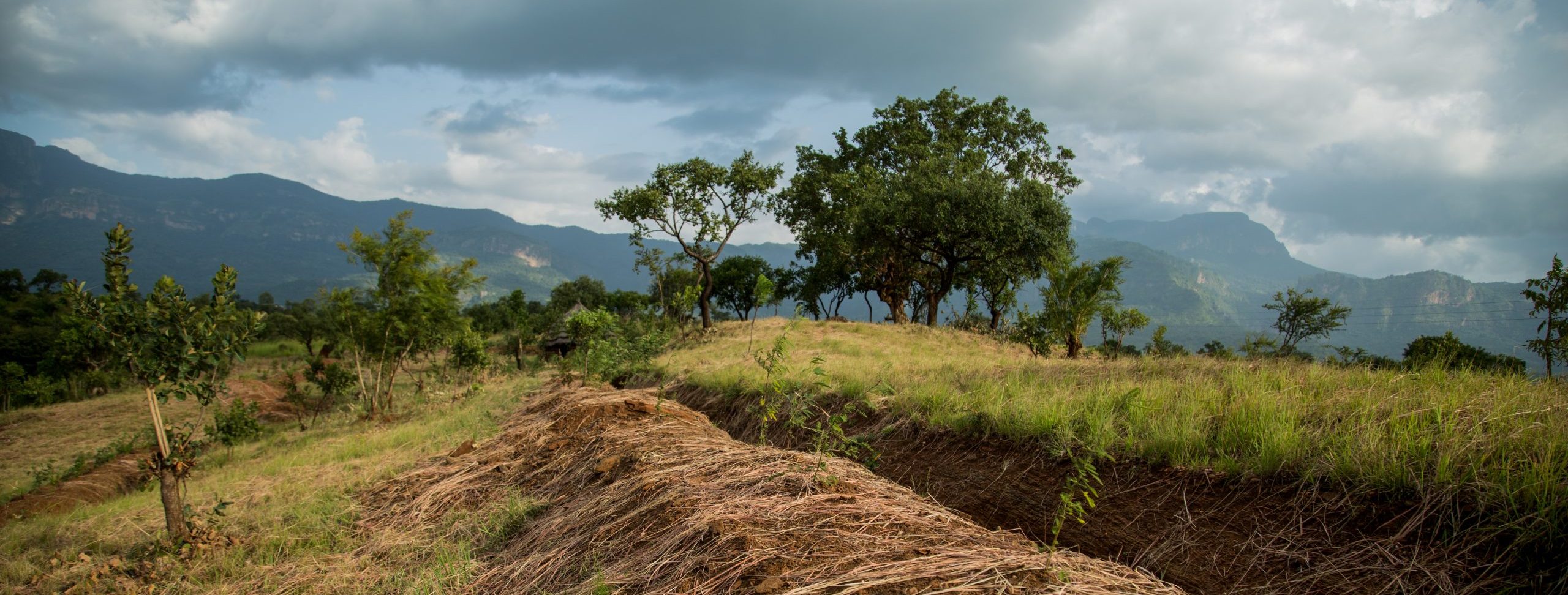 Collaborative and Resilient Ecosystem Management - Acted