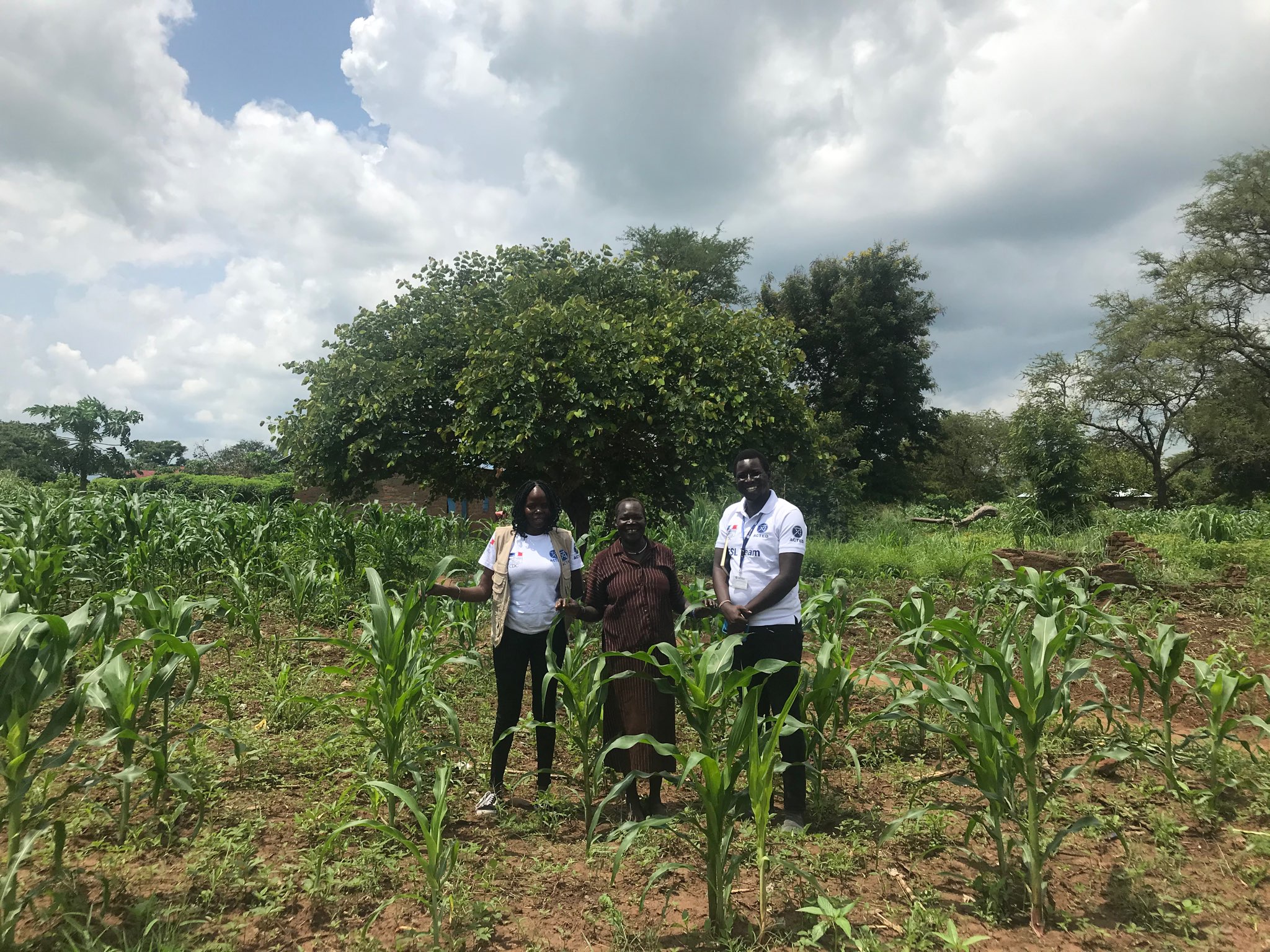 ACTED's support to locust affected farmers in South Sudan
