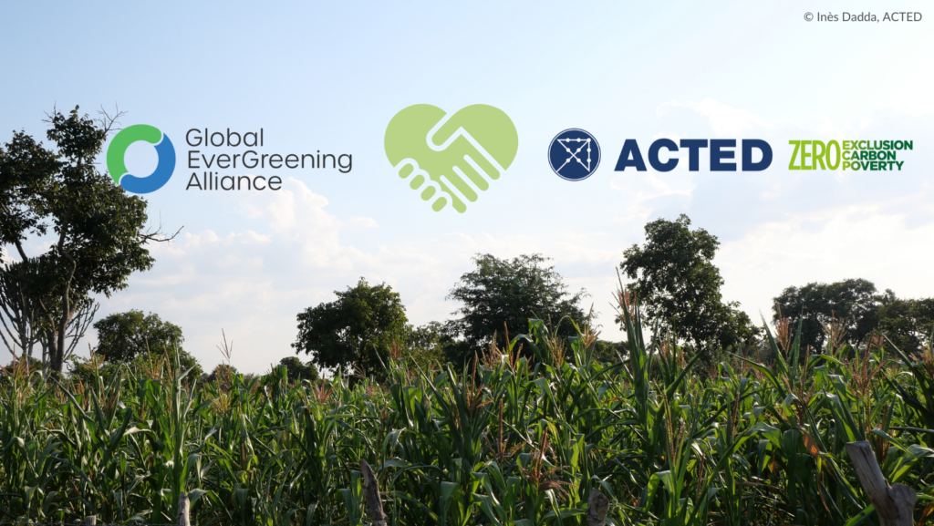 ACTED rejoint la Global EverGreening Alliance pour la régénération des ...