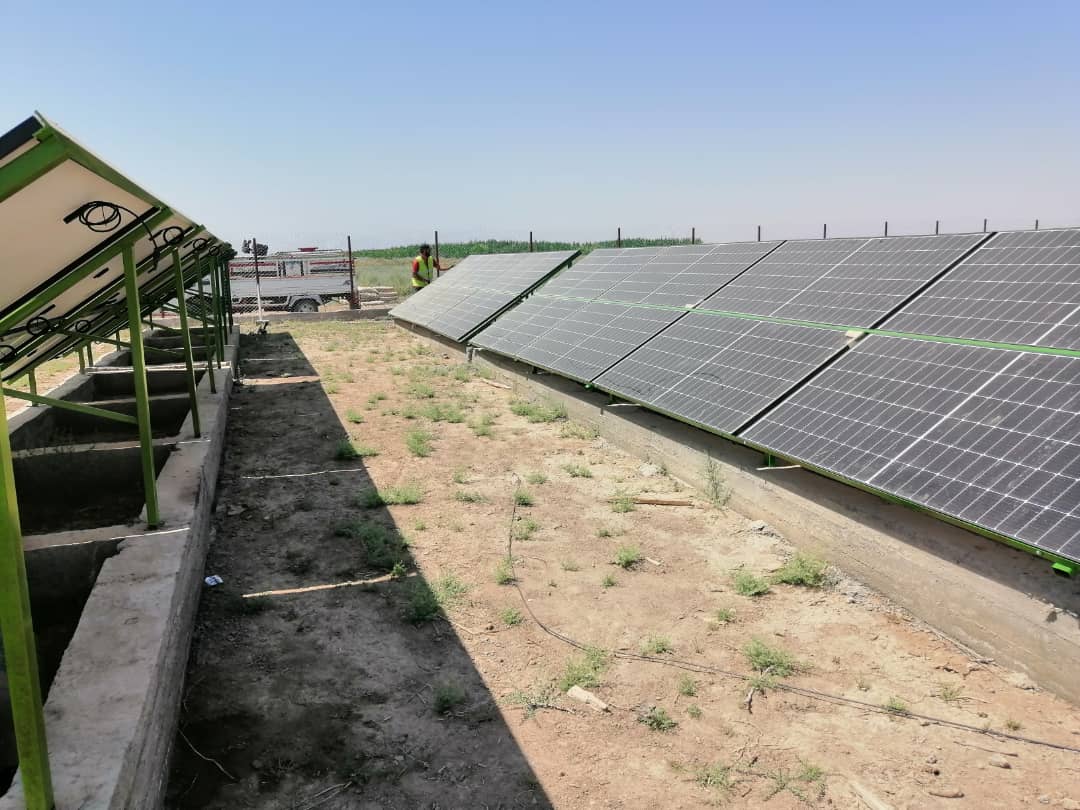 Supporting farmers in Northern Syria to overcome the drought - Acted