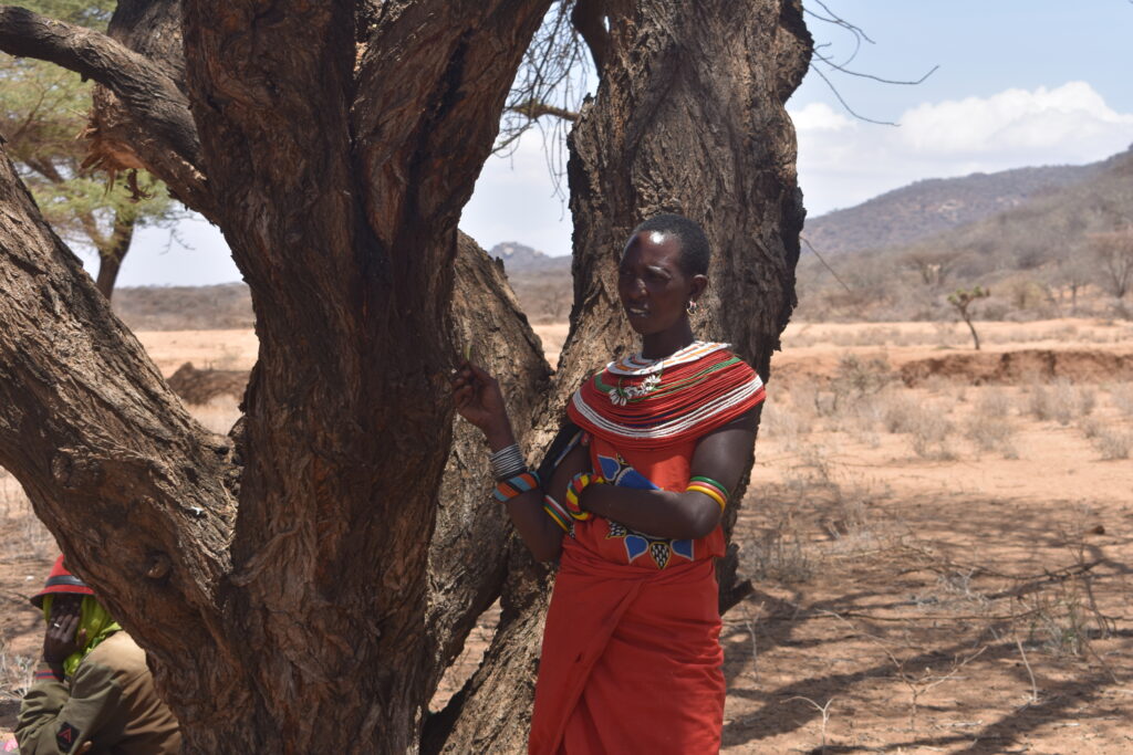 Drought in the Horn of Africa: ACTED's response to water scarcity in ...