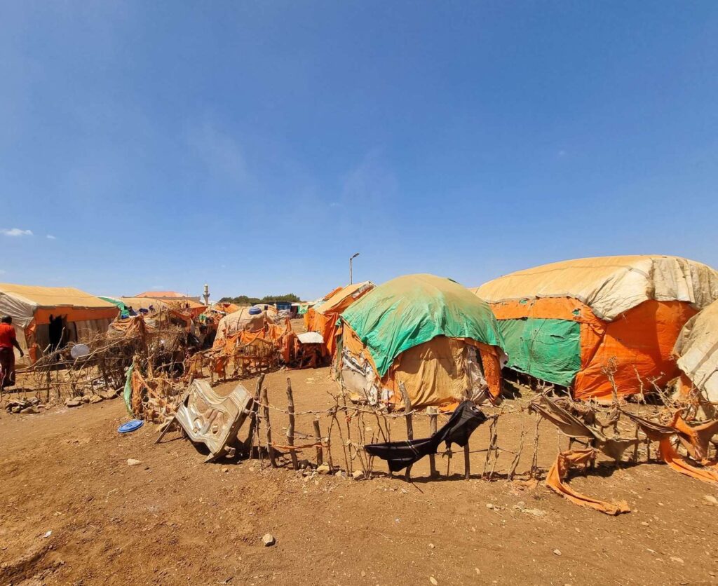 ACTED Somalia: boosting the livelihoods of vulnerable households ...