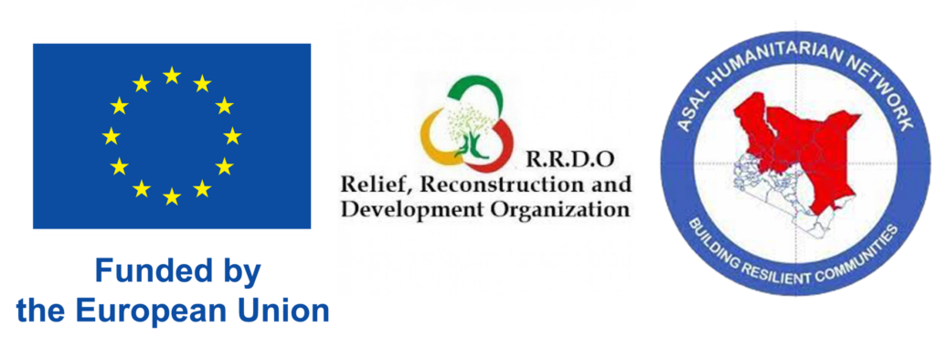 Kenya : Including Unregistered Refugees in the Cash Equation - Acted