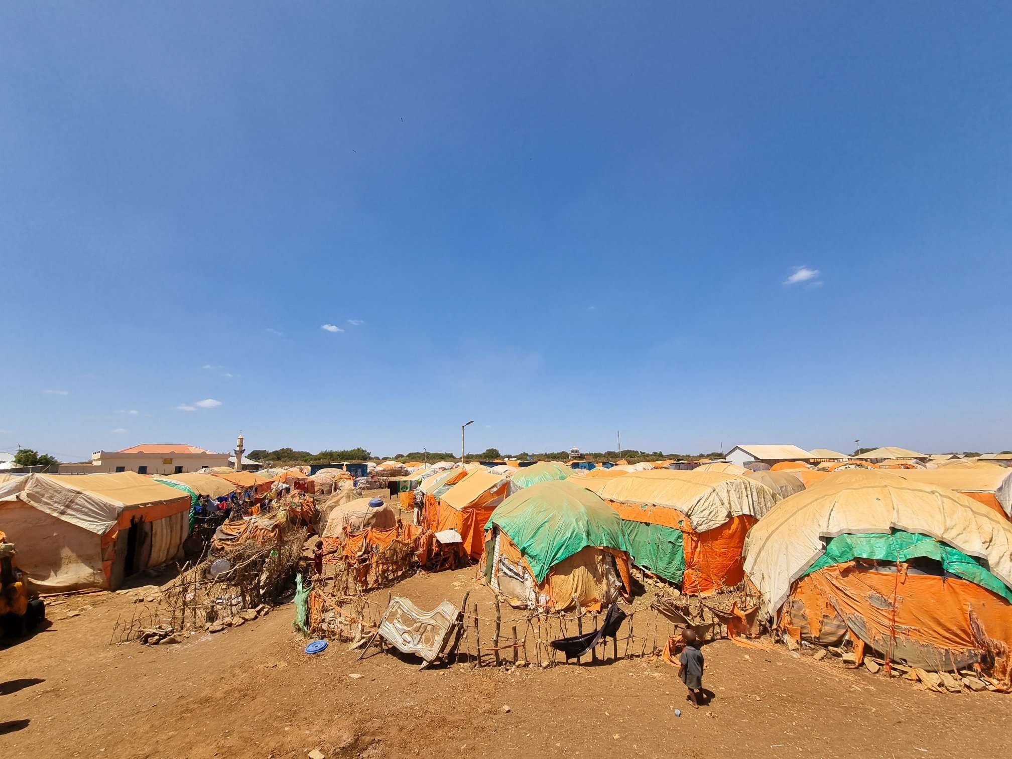 Acted Somalie : renforcer les moyens de subsistance des familles ...