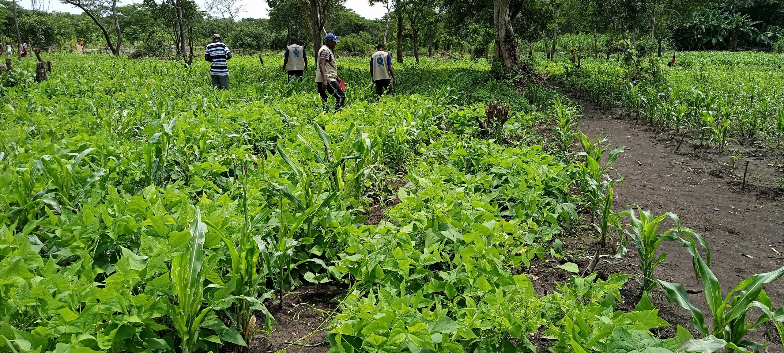 Journée internationale de la Terre nourricière : la stratégie zéro ...