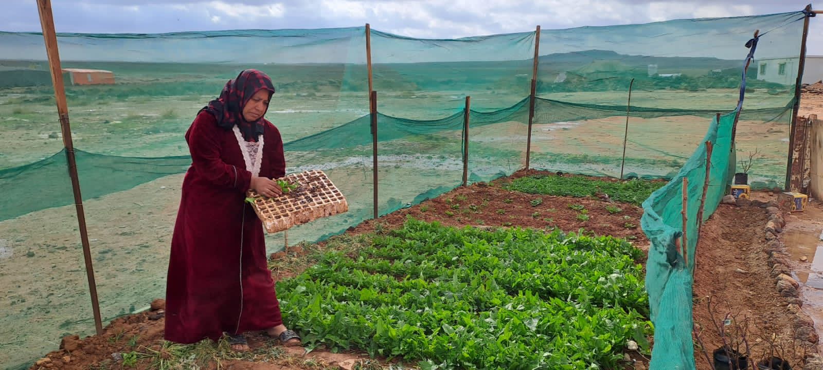 International Day of Rural Women: Empowering women in the agricultural ...