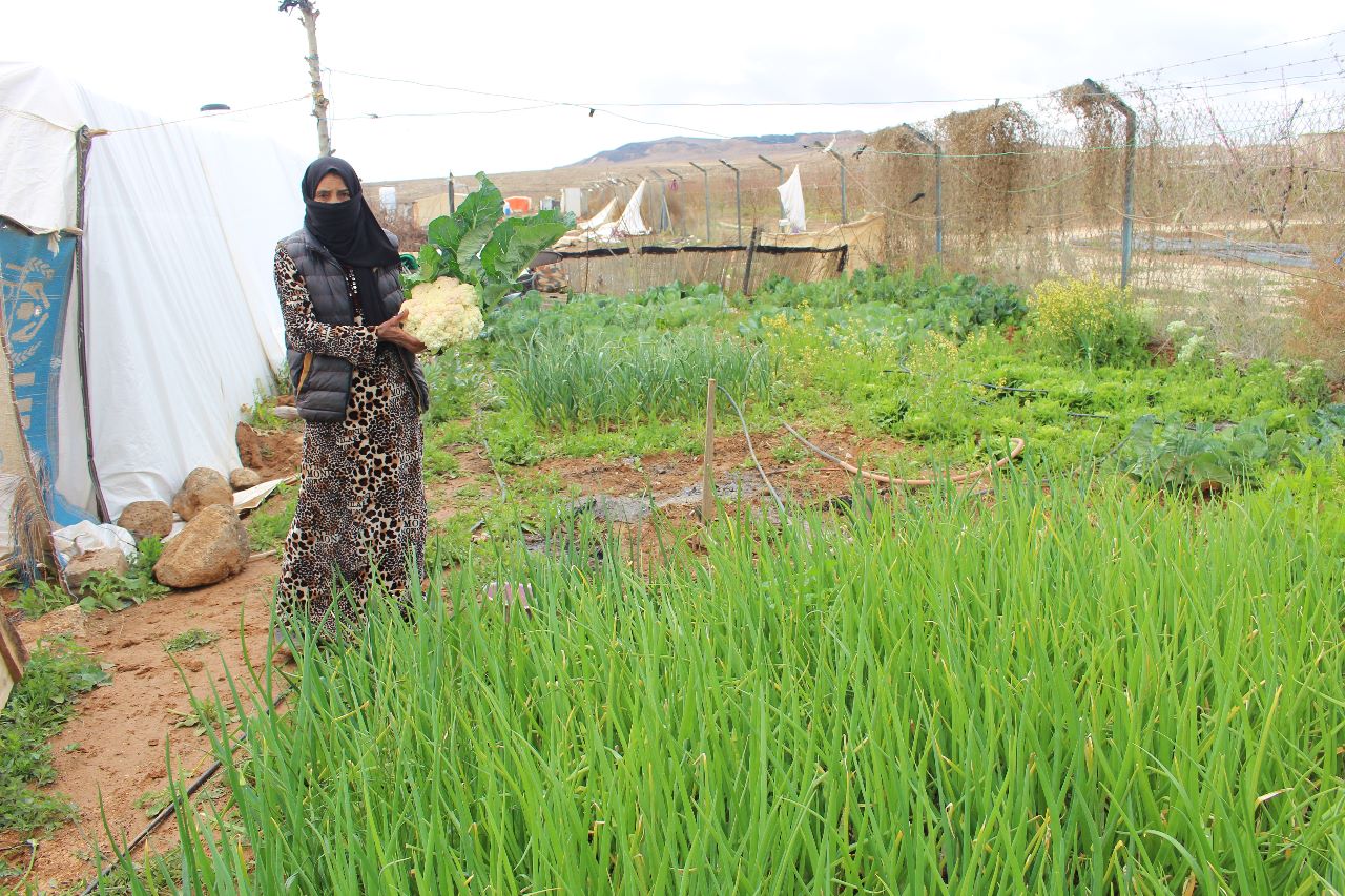 International Day of Rural Women: Empowering women in the agricultural ...