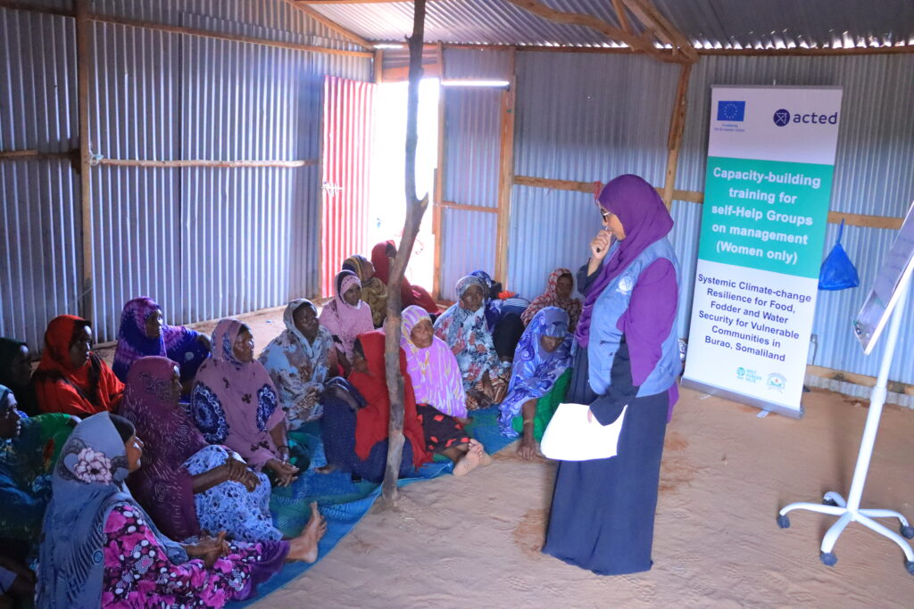 Somaliland: Enhancing women’s resilience to climate-change shocks ...